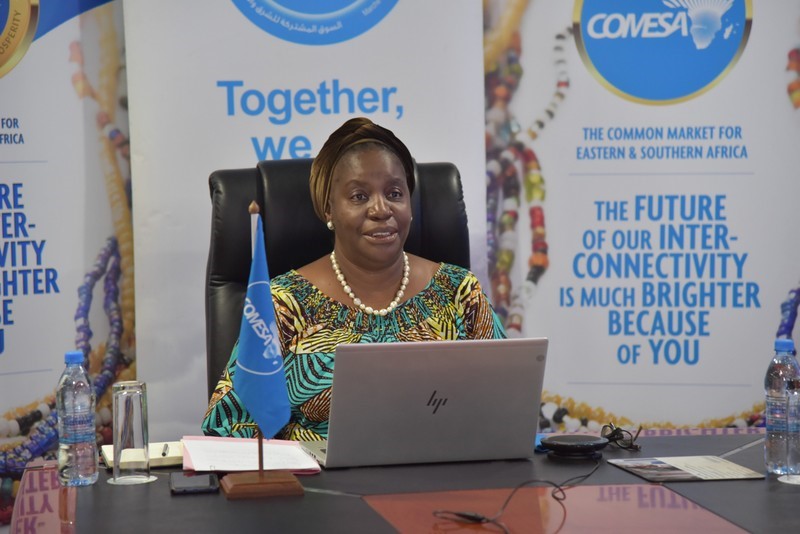 Virtual Mission between Hon. Minister and COMESA Secretary General