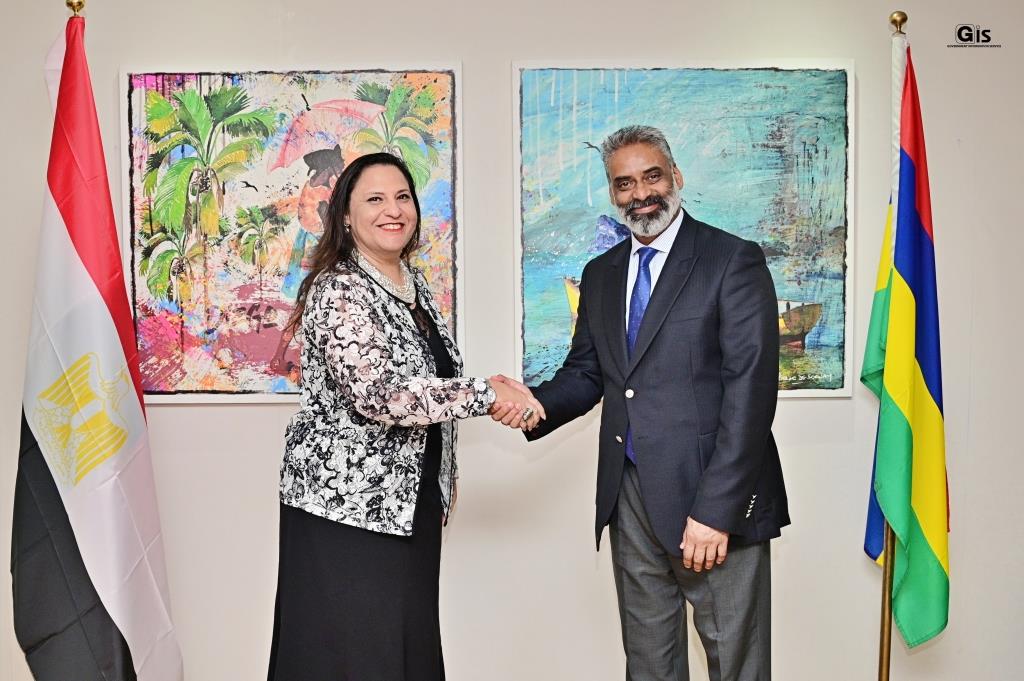 The new Ambassador of Egypt calls on Minister of Foreign Affairs, RI&IT